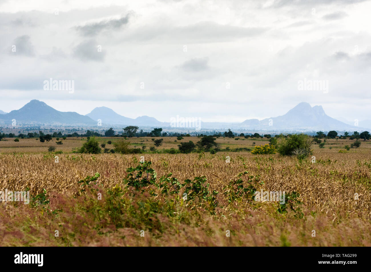 a range of mountains seen in the distance above field upon field of ...