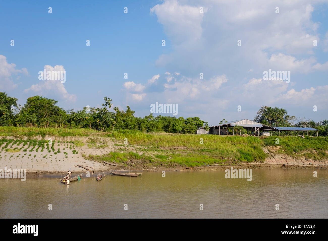 Ucayali River riverbank on the Peruvian Amazon Basin, Loreto Department ...