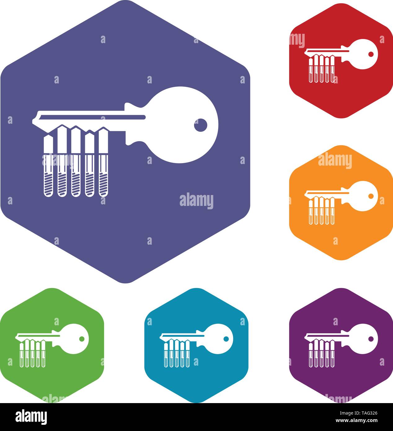 Magnetic key icons vector hexahedron Stock Vector Image & Art - Alamy