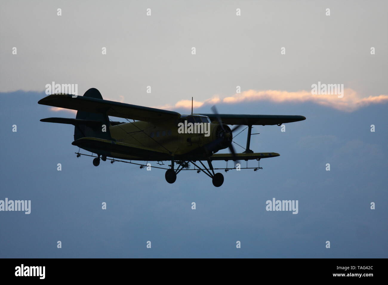 Antonv AN-2 biplane flying over the sky Stock Photo - Alamy