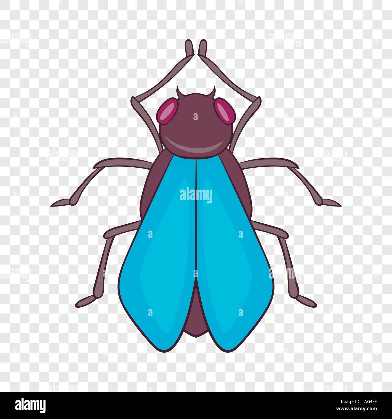 Musca the fly Stock Vector Images - Alamy