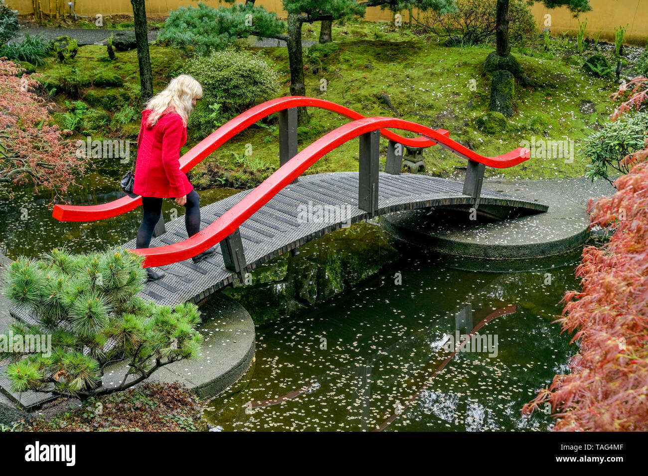 Tilford bridge hi-res stock photography and images - Alamy