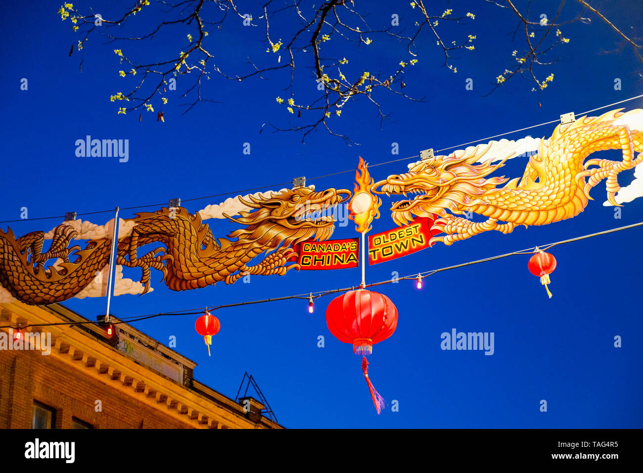 Dragon sign, Chinatown, Victoria, British Columbia, Canada Stock Photo ...