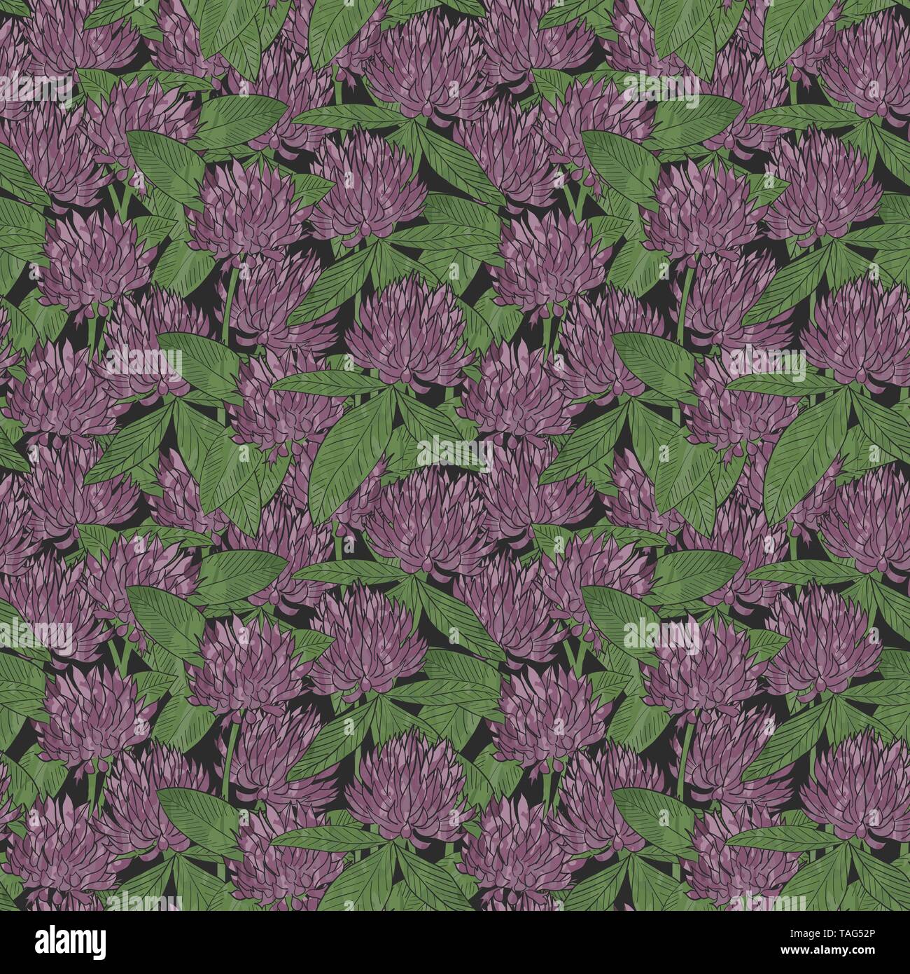 Seamless pattern clover flowers, vector Stock Vector Image & Art - Alamy