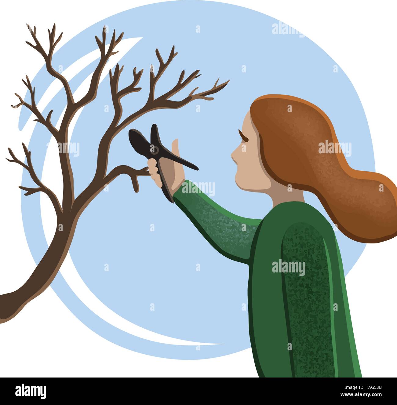 Woman gardening pruning tree, vector Stock Vector Image & Art - Alamy