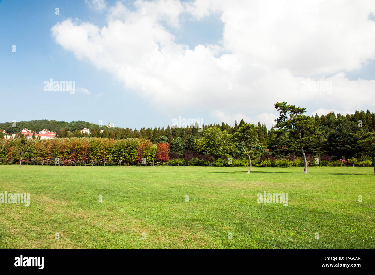 Grand Turf, Zhongshan Park, Qingdao, China Stock Photo - Alamy