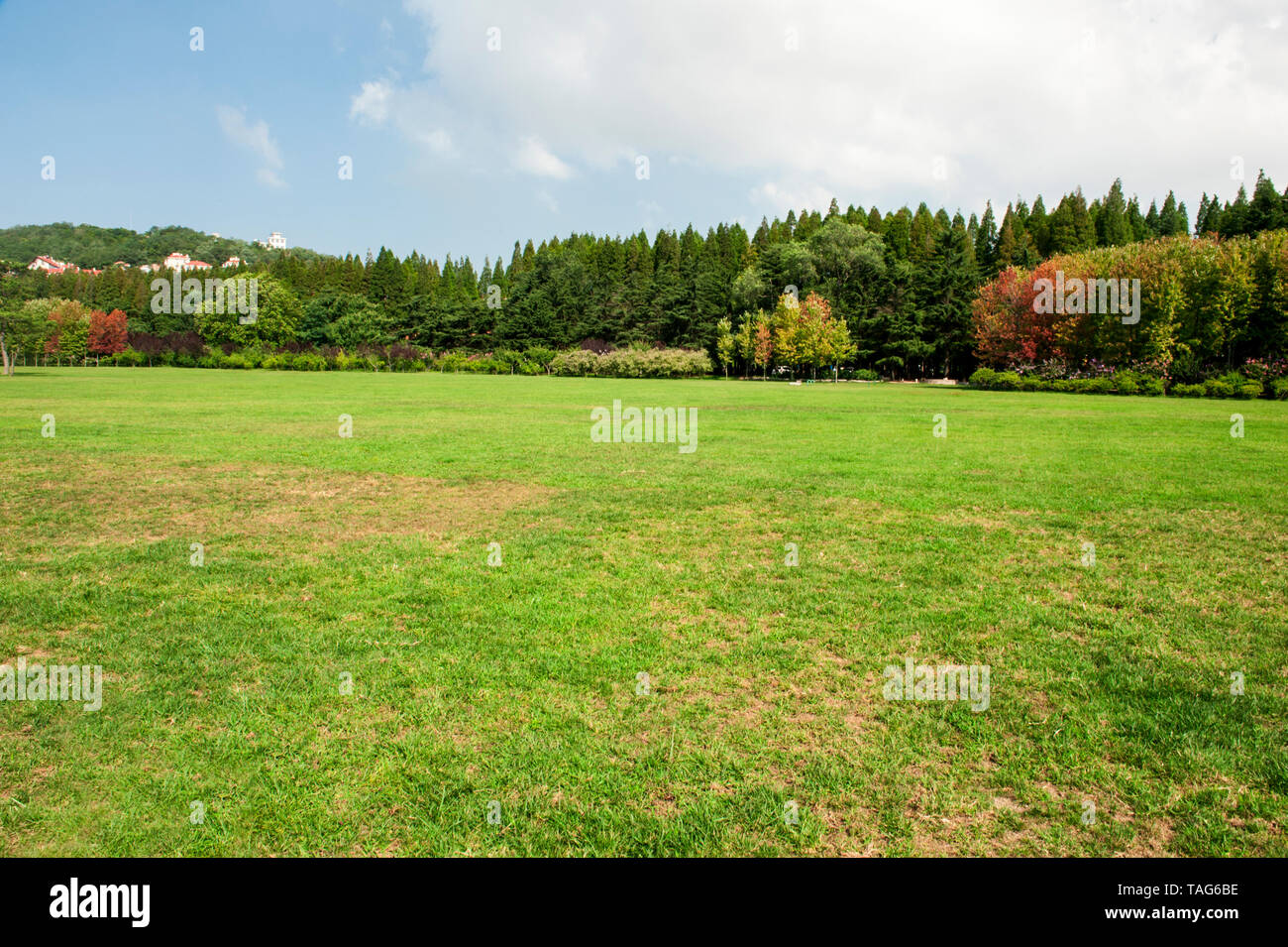 Grand Turf, Zhongshan Park, Qingdao, China Stock Photo - Alamy