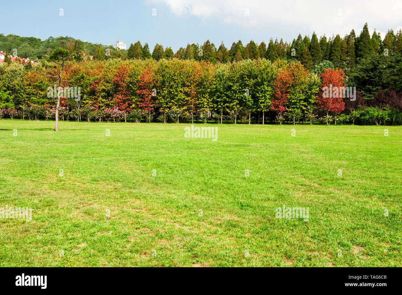Grand Turf, Zhongshan Park, Qingdao, China Stock Photo - Alamy