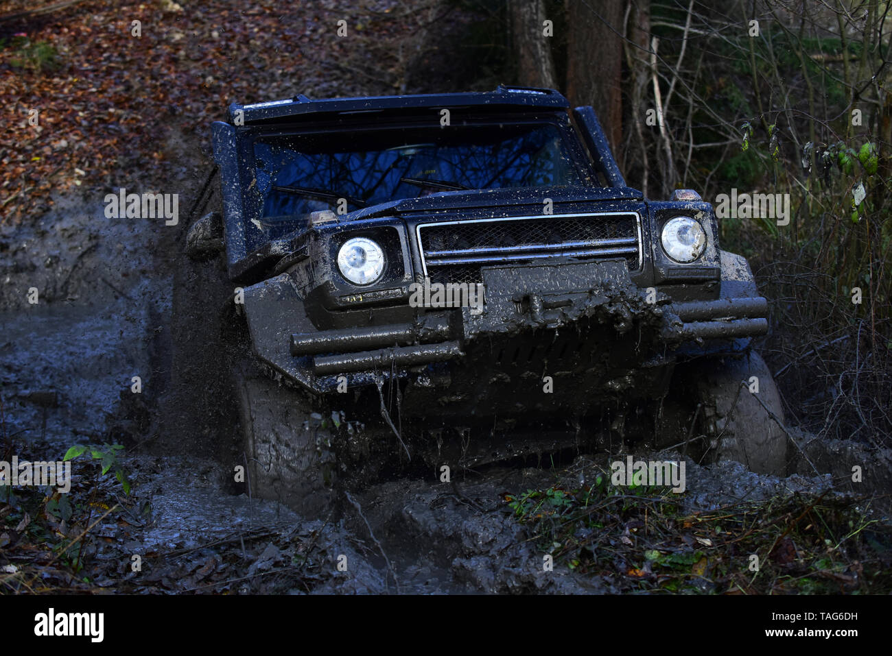 Black crossover driving through dirt with nature on background. 4x4 ...