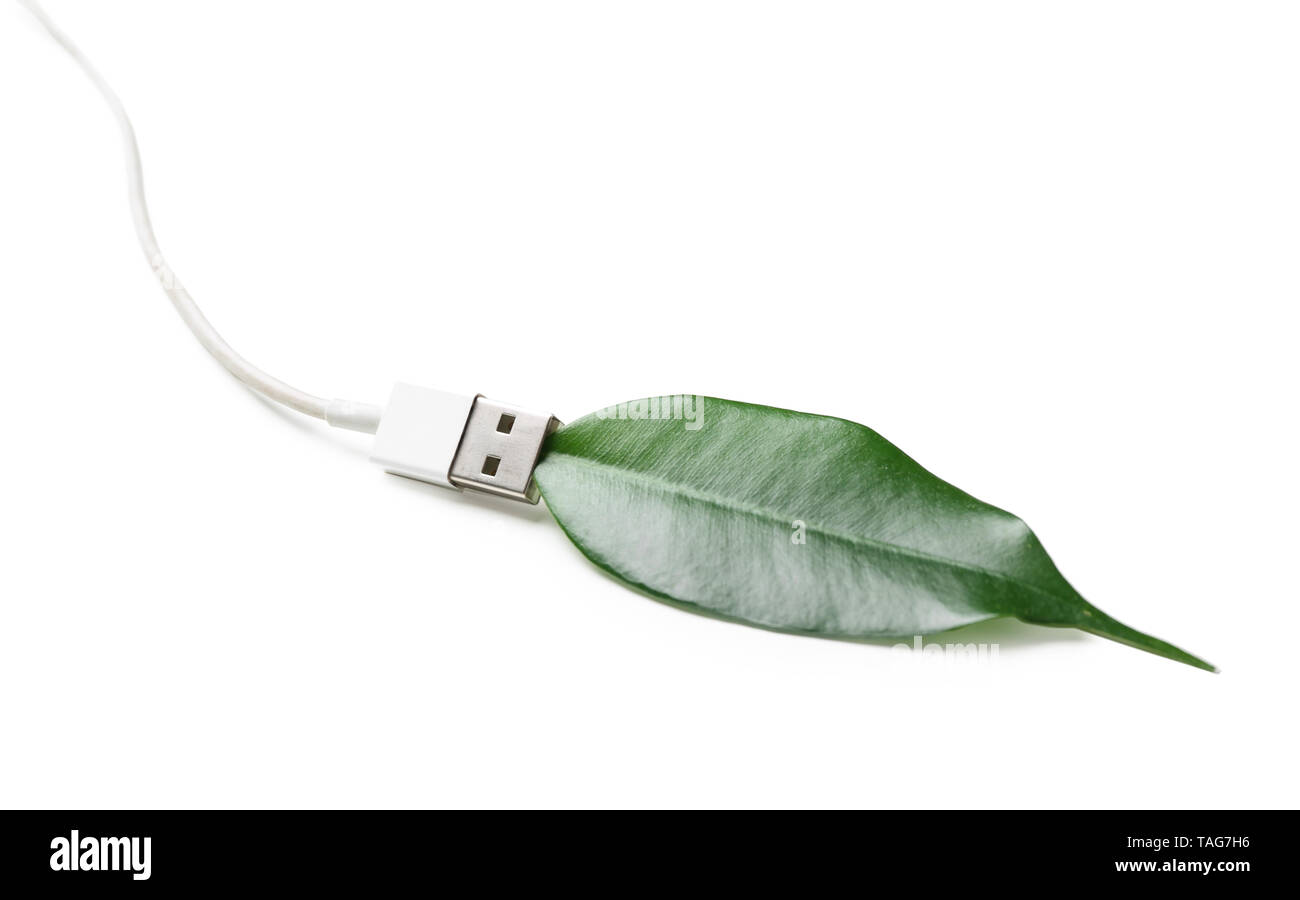 Cable with USB split and green leaf on white background. Ecology ...