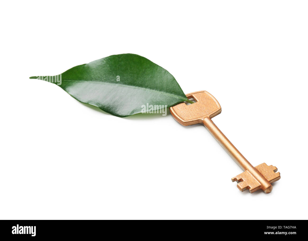 Key from house and green leaf on white background. Ecology concept ...