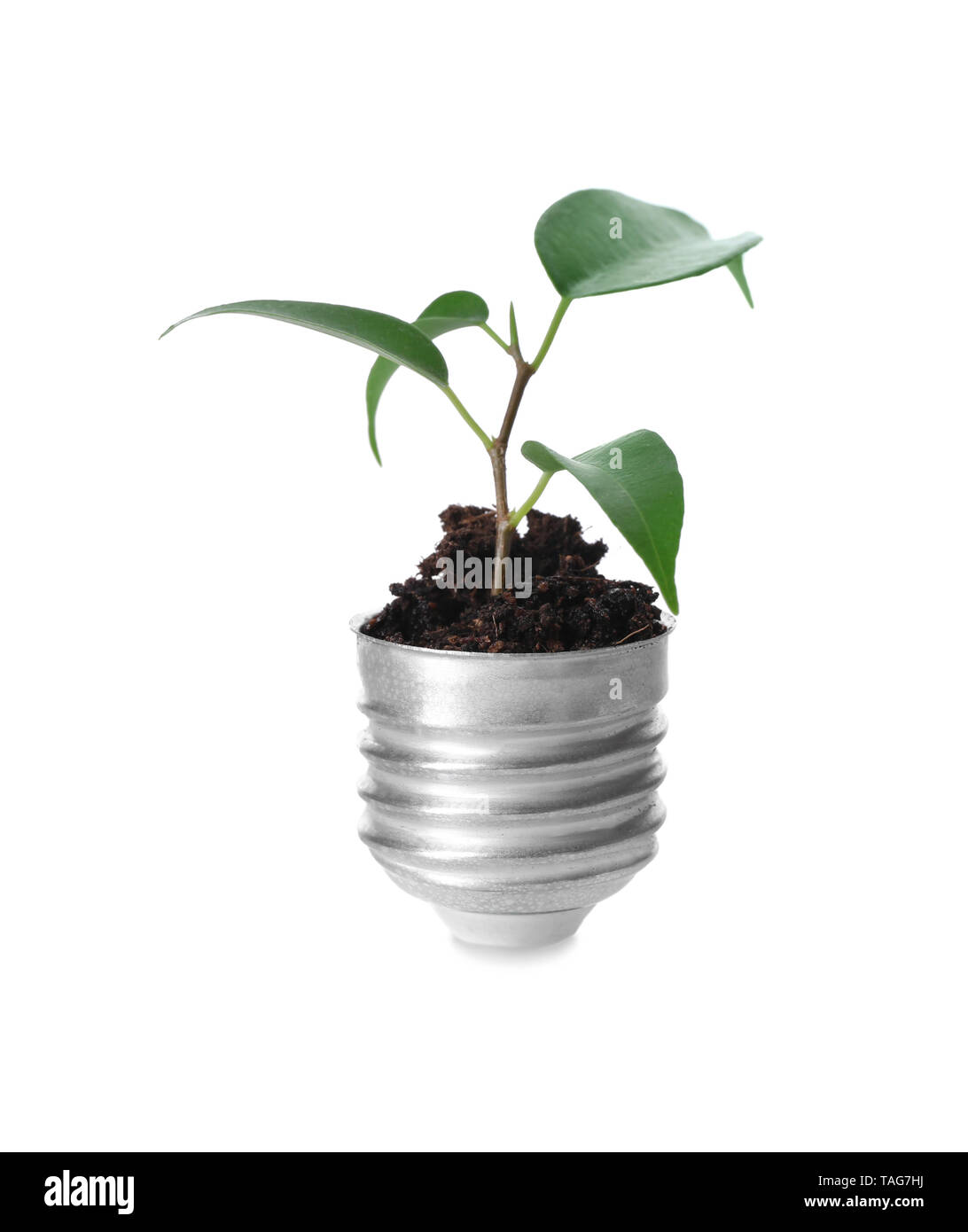 Light bulb cap hi-res stock photography and images - Alamy