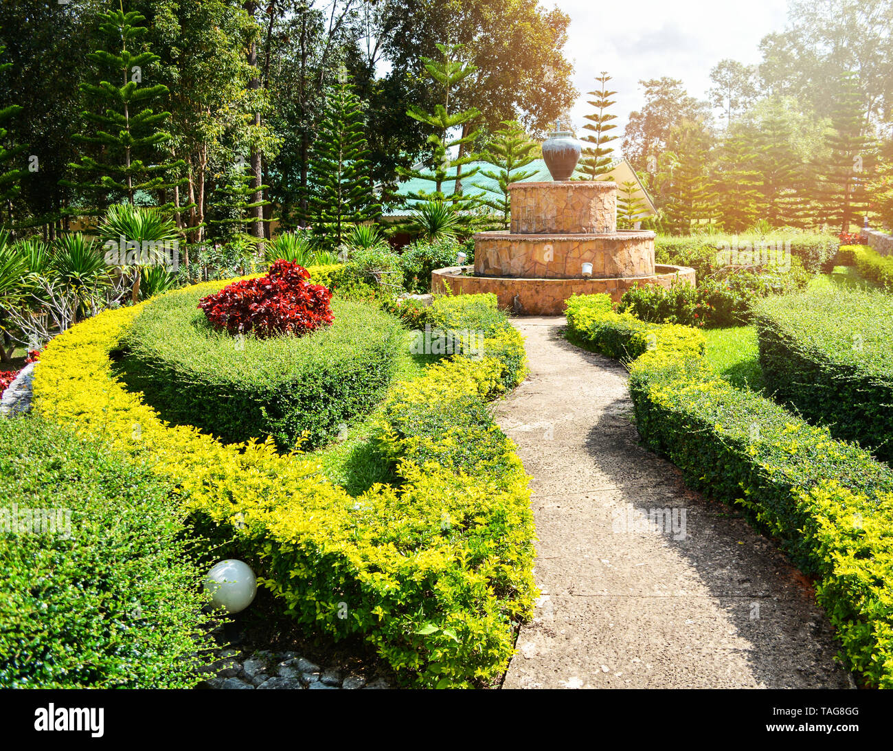 Beautiful of garden walkway decorate with plant and the fountain spring ...
