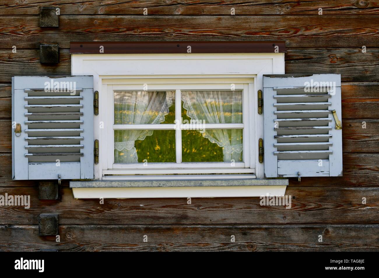 small white painted window with blue shutters in an old wooden house ...