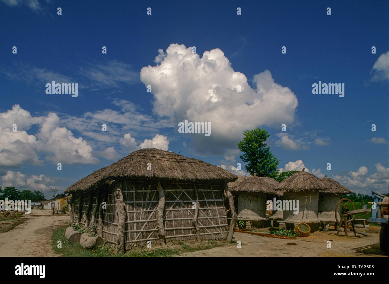 village house Phulwari Bettiah near Champaran ; Bihar INDIA Stock Photo ...