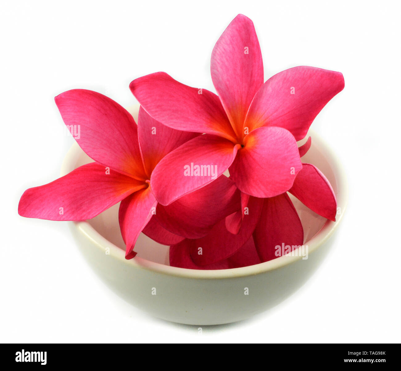 Pink flower in cup isolated / Red Frangipani Plumeria on white ...