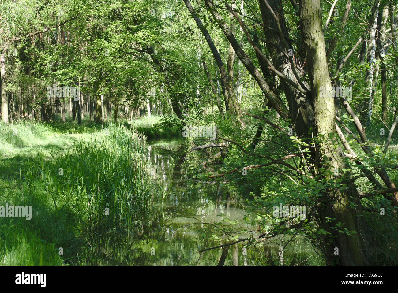 Wood duct hi-res stock photography and images - Alamy