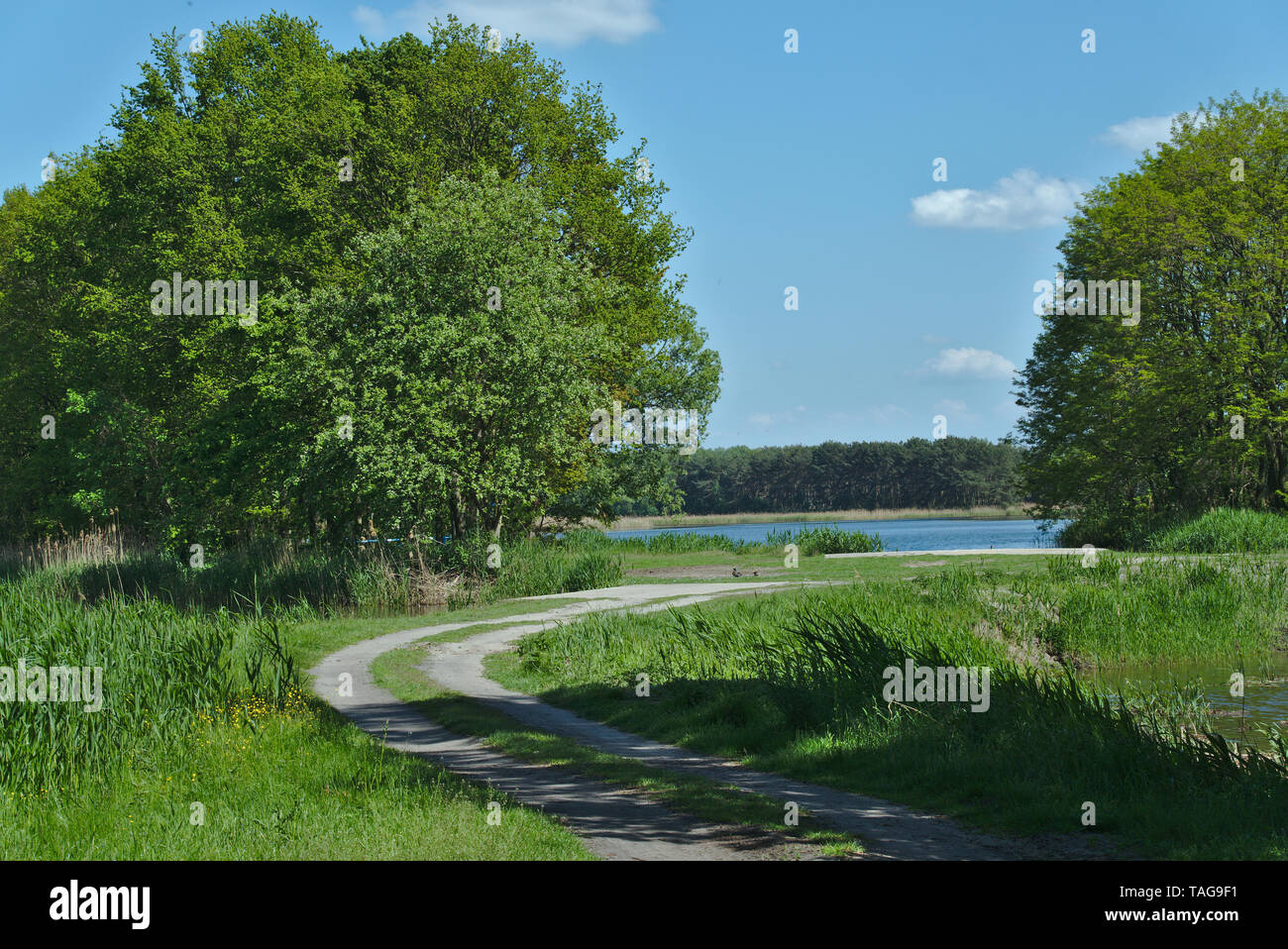 Path cross the pound Stock Photo - Alamy