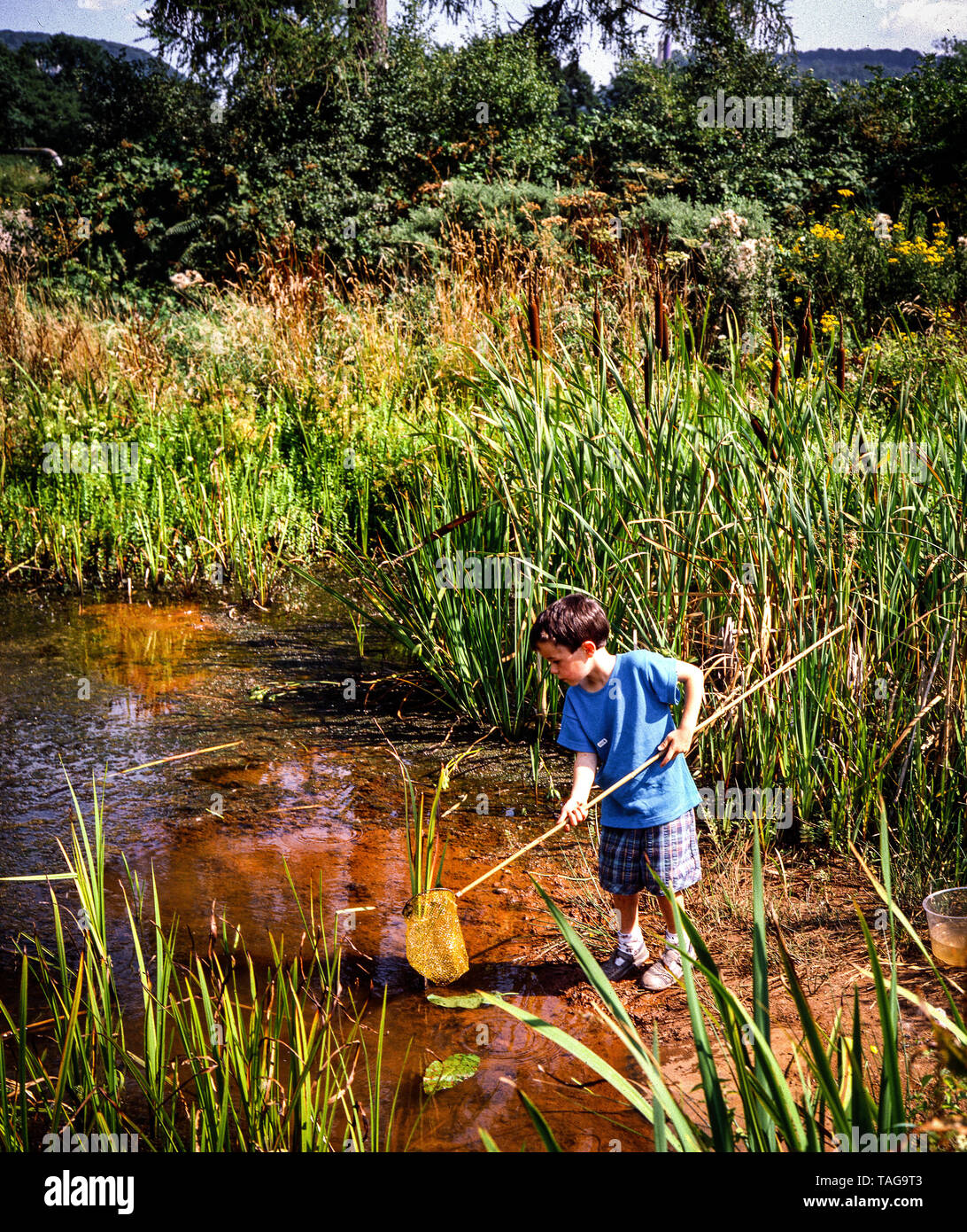 Boy hunting for frogs hi-res stock photography and images - Alamy