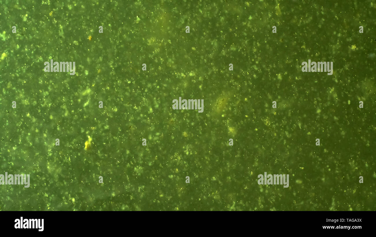 Bio ultra macro background. Look at organic objects under magnifier ...