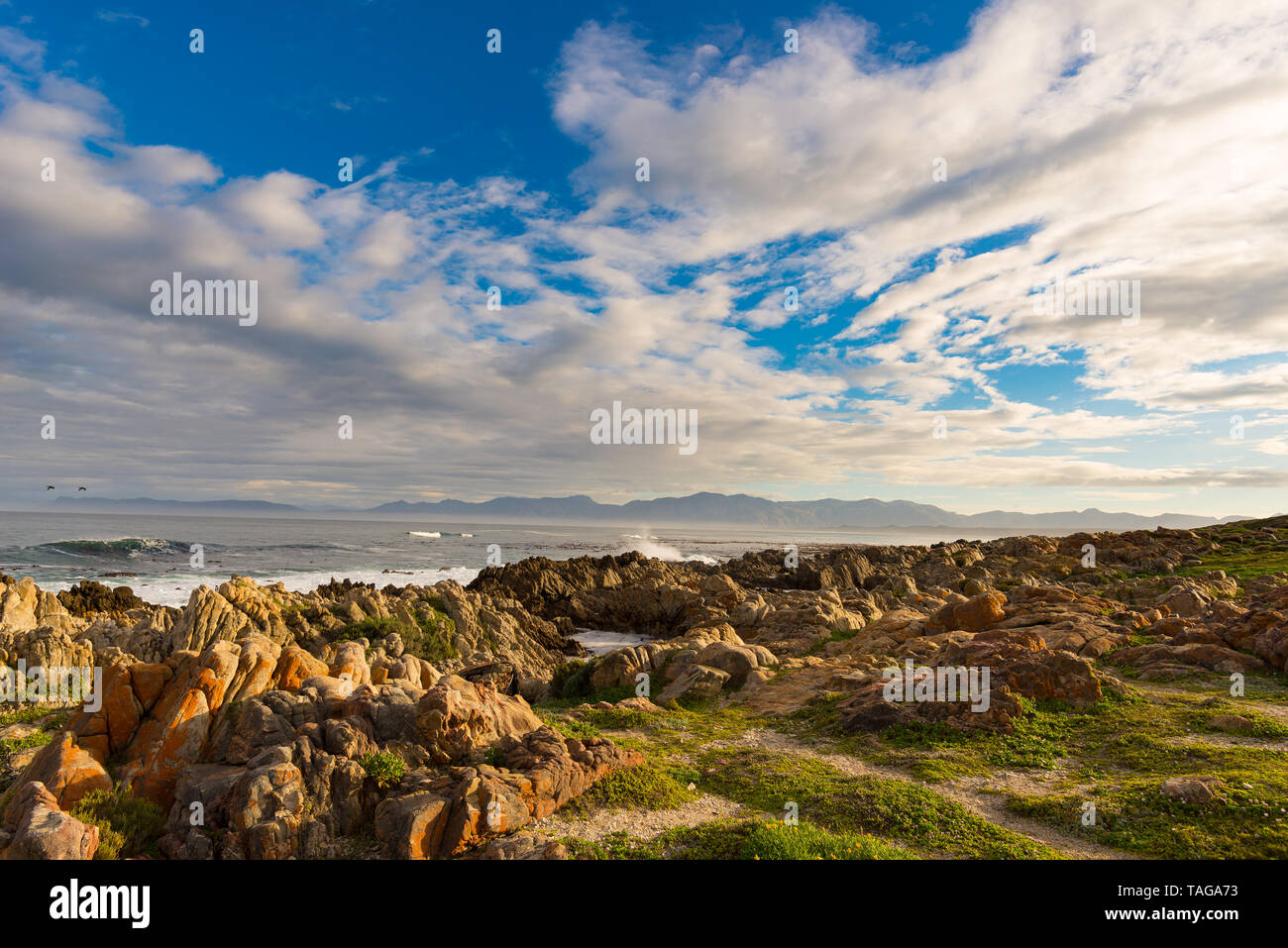 Rocky coast line on the ocean at De Kelders, South Africa, famous for whale watching. Winter ...