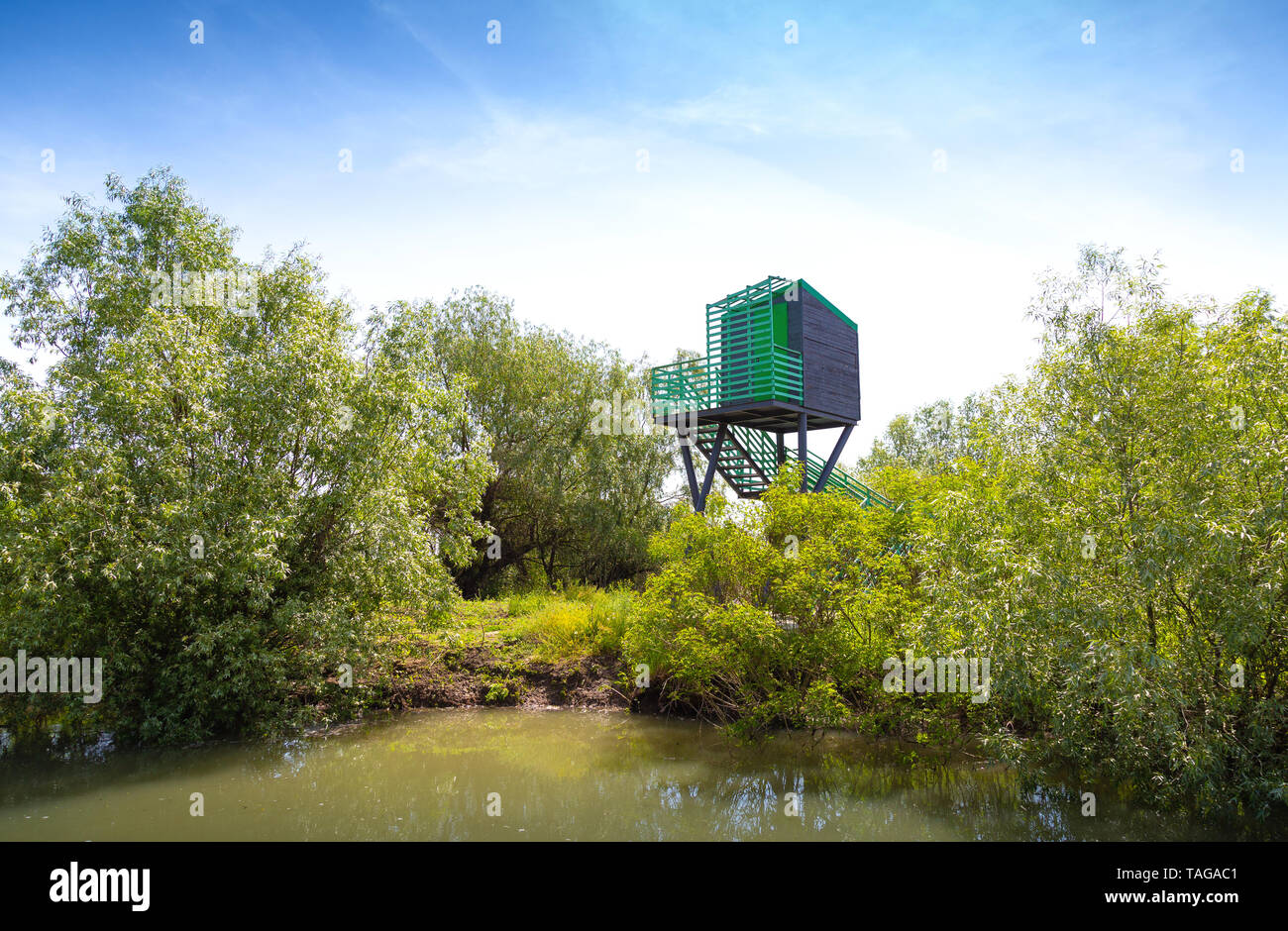 Birdwatching Hideout High Resolution Stock Photography and Images - Alamy
