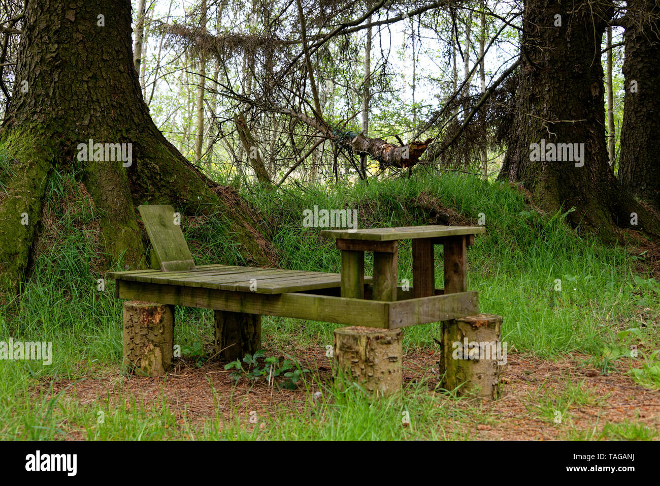 Old bench hi-res stock photography and images - Alamy