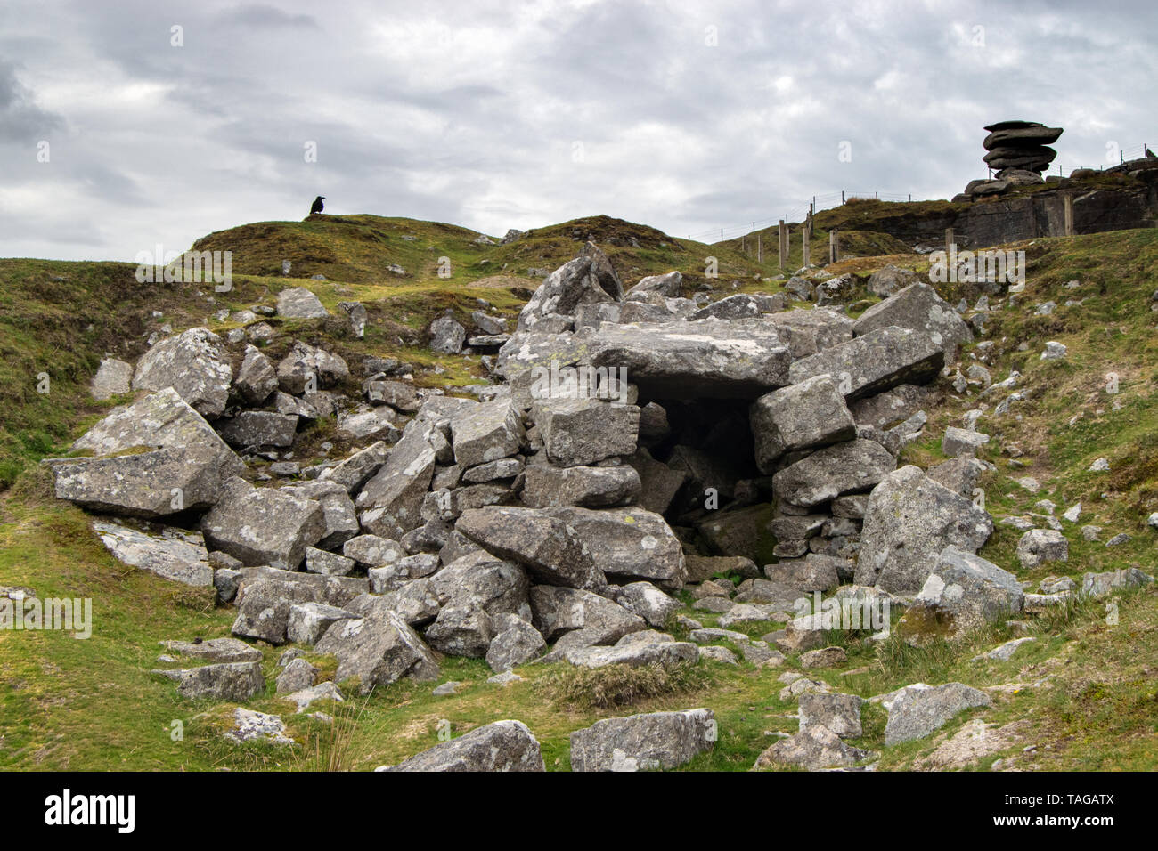 Daniel Gumb's Cave, a Raven and the Cheesewring, Bodmin Moor, Cornwall ...