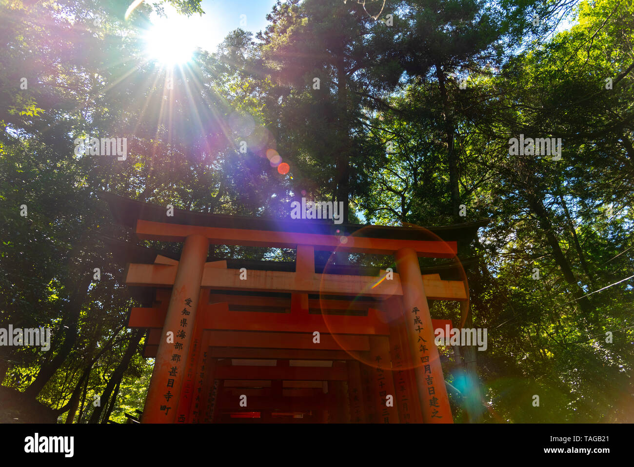 Fushimi Inari-taisha Shrine. Thousands countless vermilion Torii gates ...
