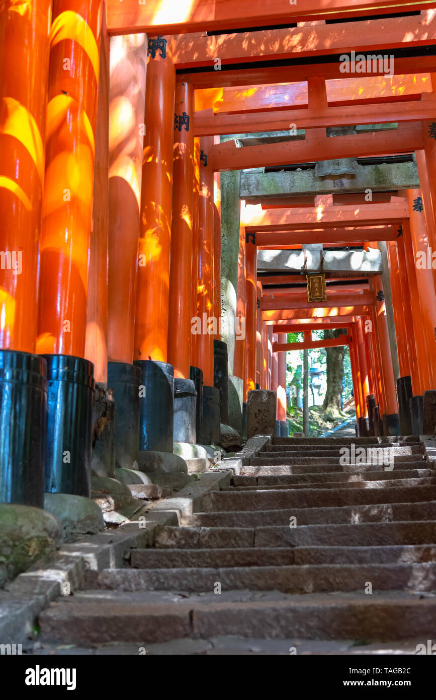 Fushimi Inari-taisha Shrine. Thousands countless vermilion Torii gates ...