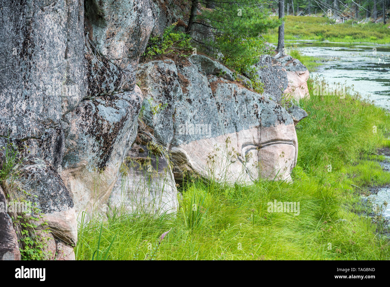 Muskoka lake scene hi-res stock photography and images - Alamy