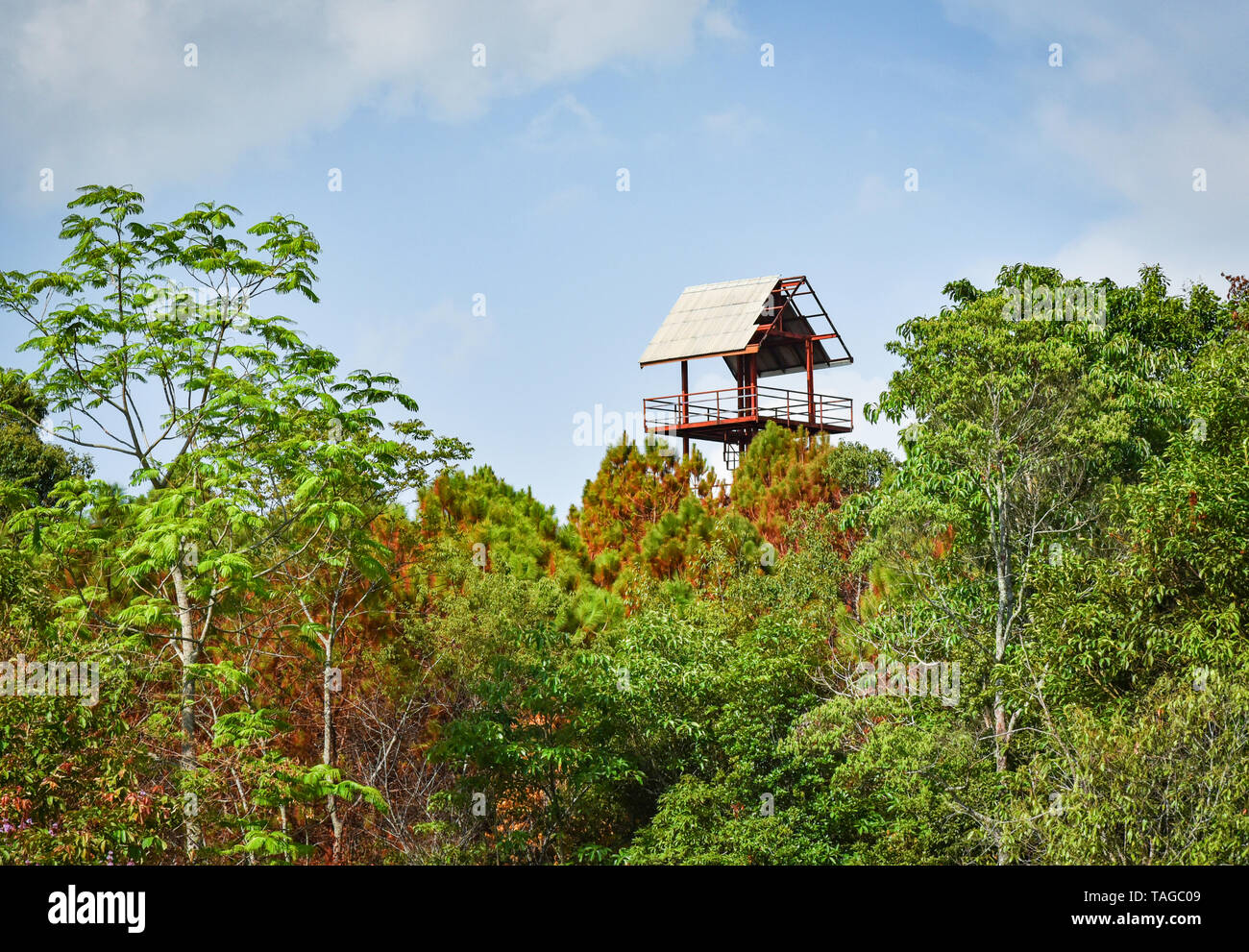 hunting tower lookout view animal wildlife in the forest Stock Photo ...