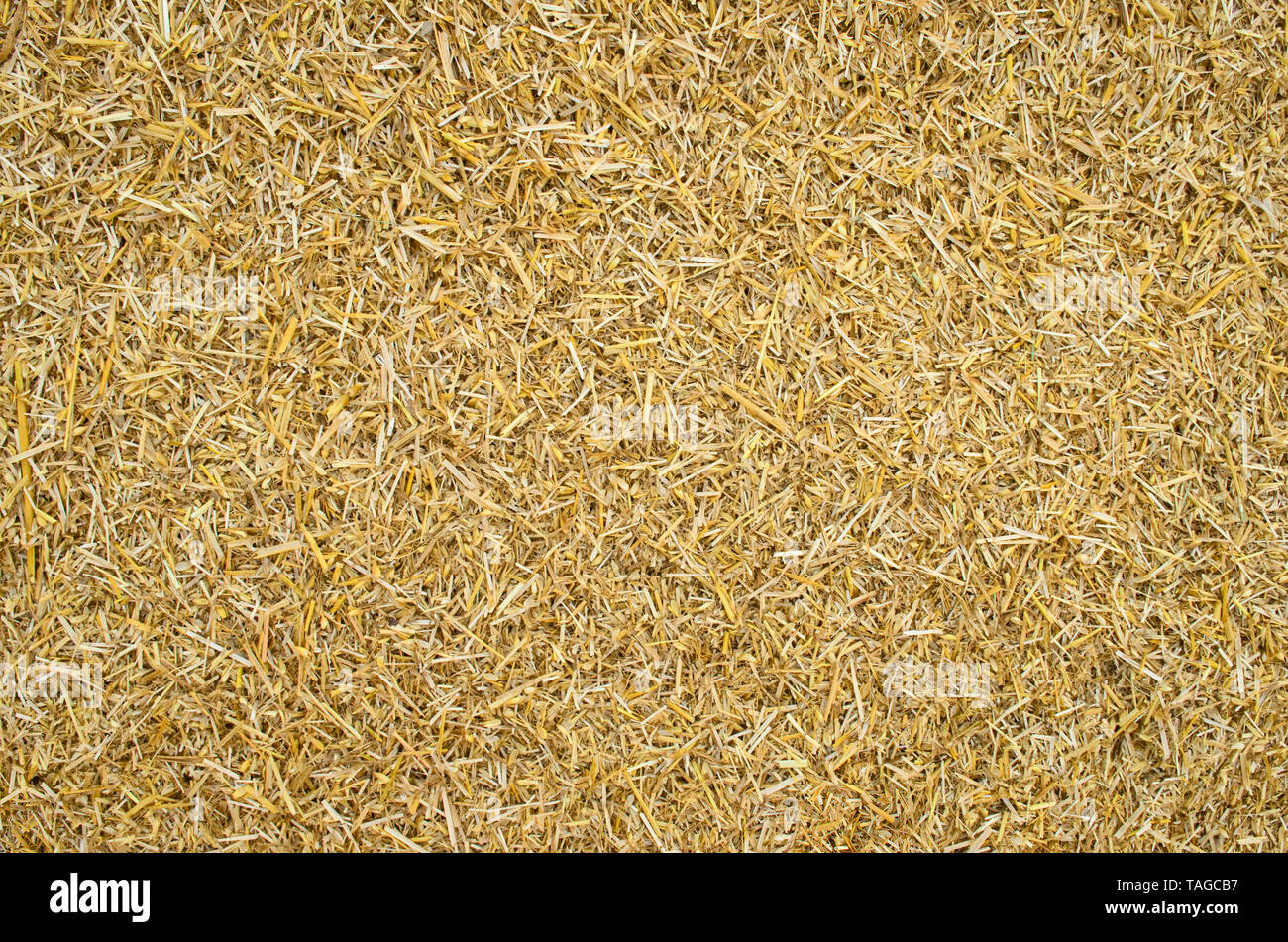 Crushed wheat hi-res stock photography and images - Alamy