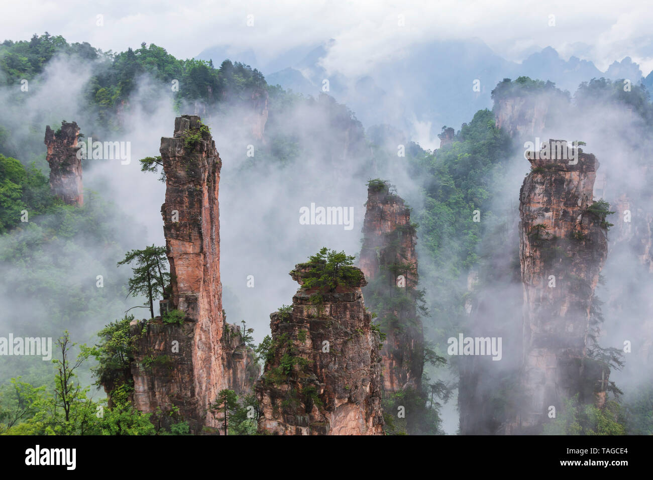 Wulingyuan national park hi-res stock photography and images - Alamy