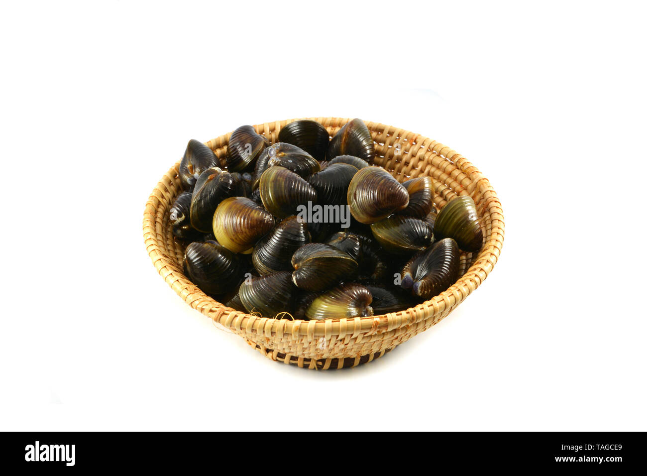 Freshwater clams hi-res stock photography and images - Alamy