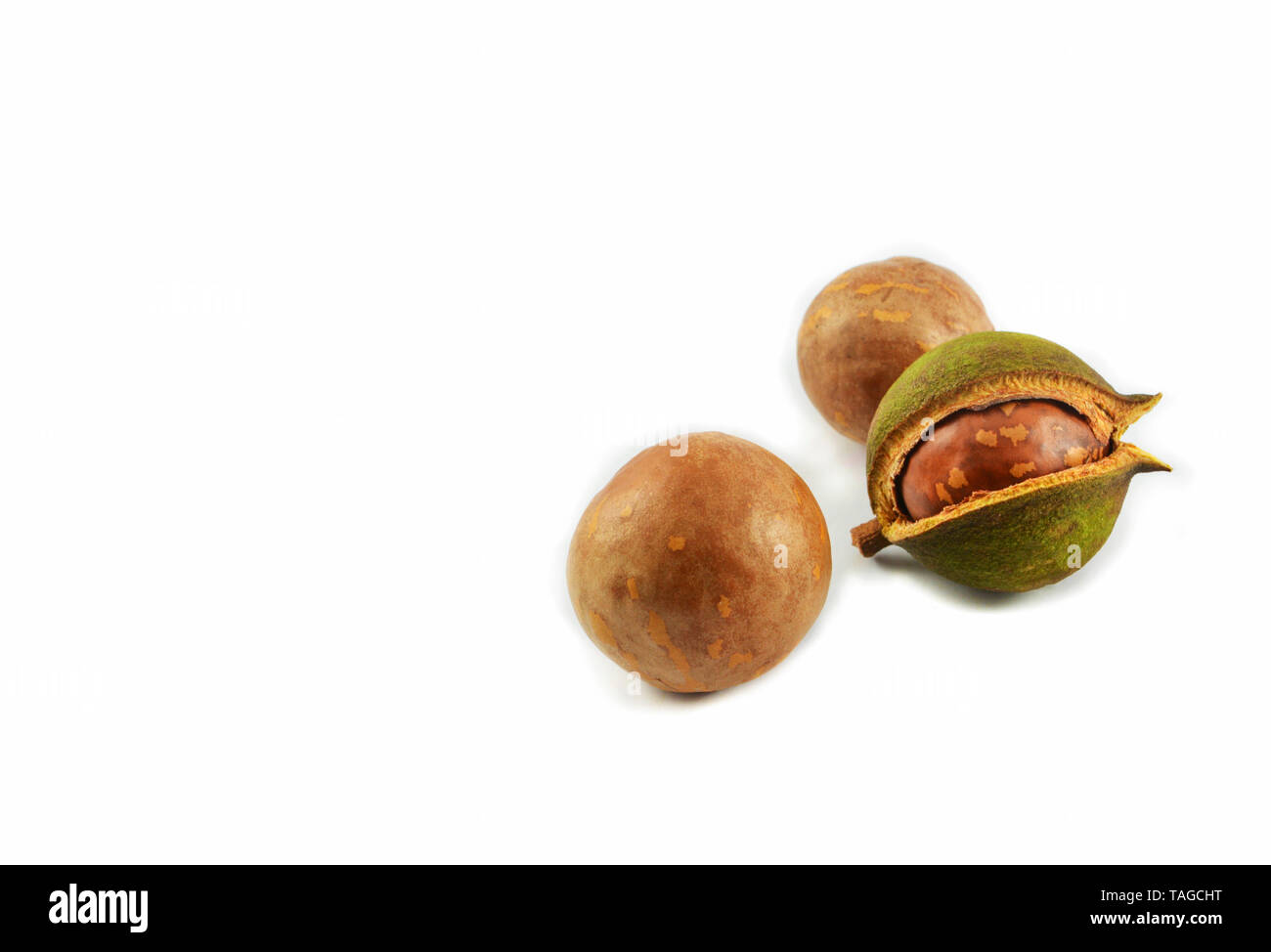 Organic macadamia nuts isolated on white background - King of nuts ...