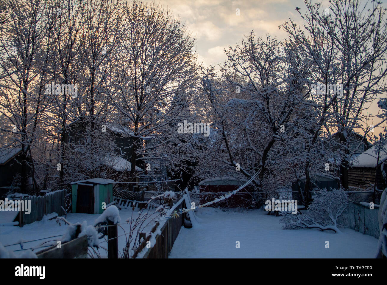 Canadian house backyard hi-res stock photography and images - Alamy