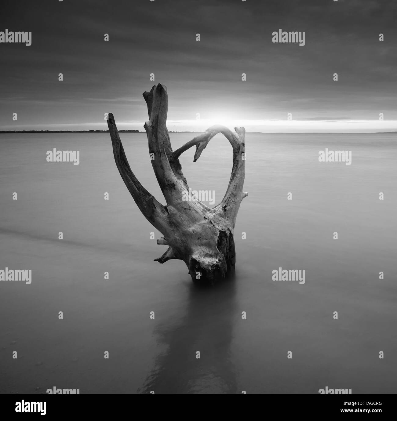 Beautiful monochrome hi-res stock photography and images - Alamy