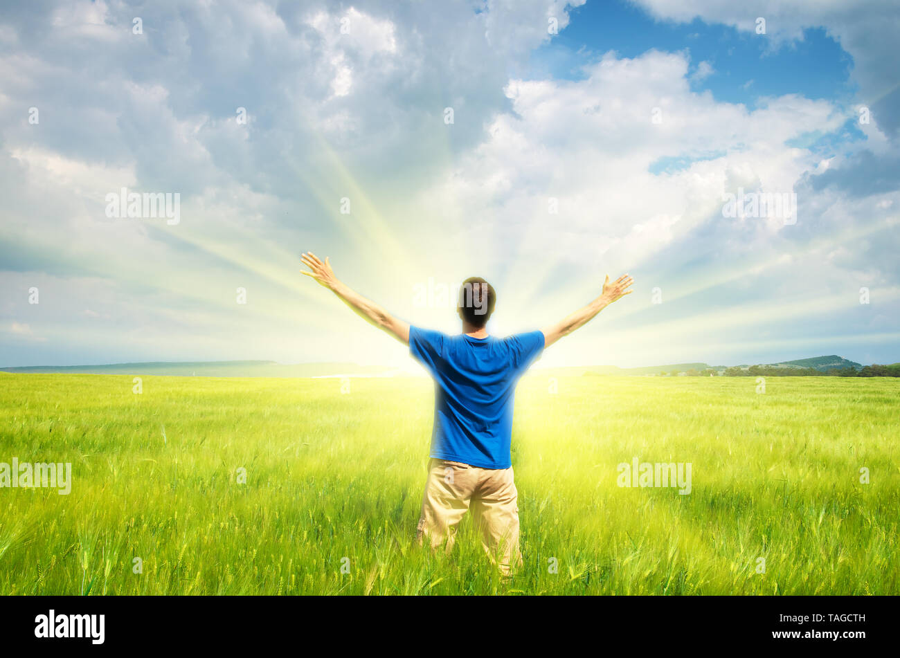 Hand in wheat sunshine hi-res stock photography and images - Alamy