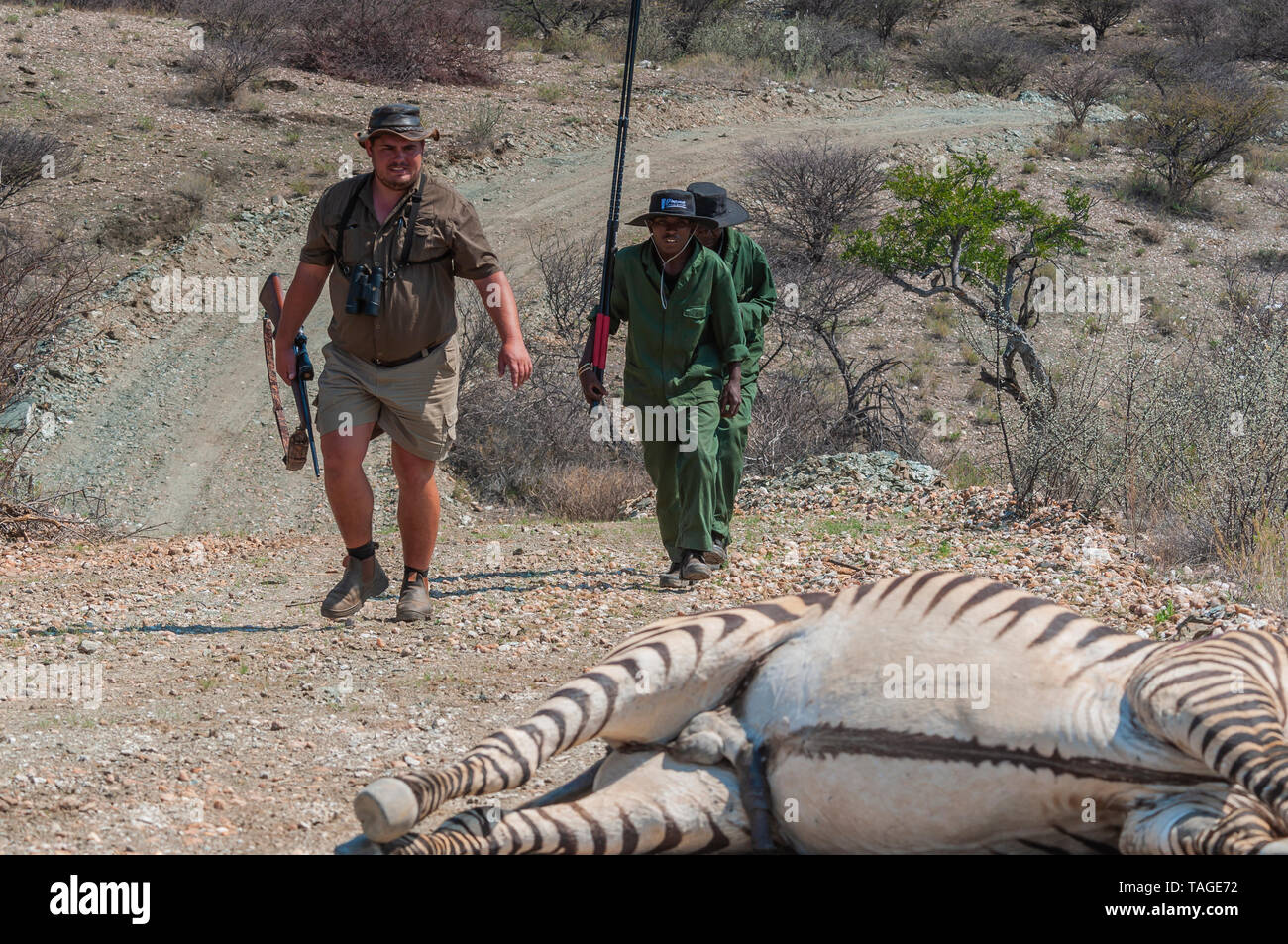 Hunters reaching the shot animal on a game farm in Namibia Stock Photo ...