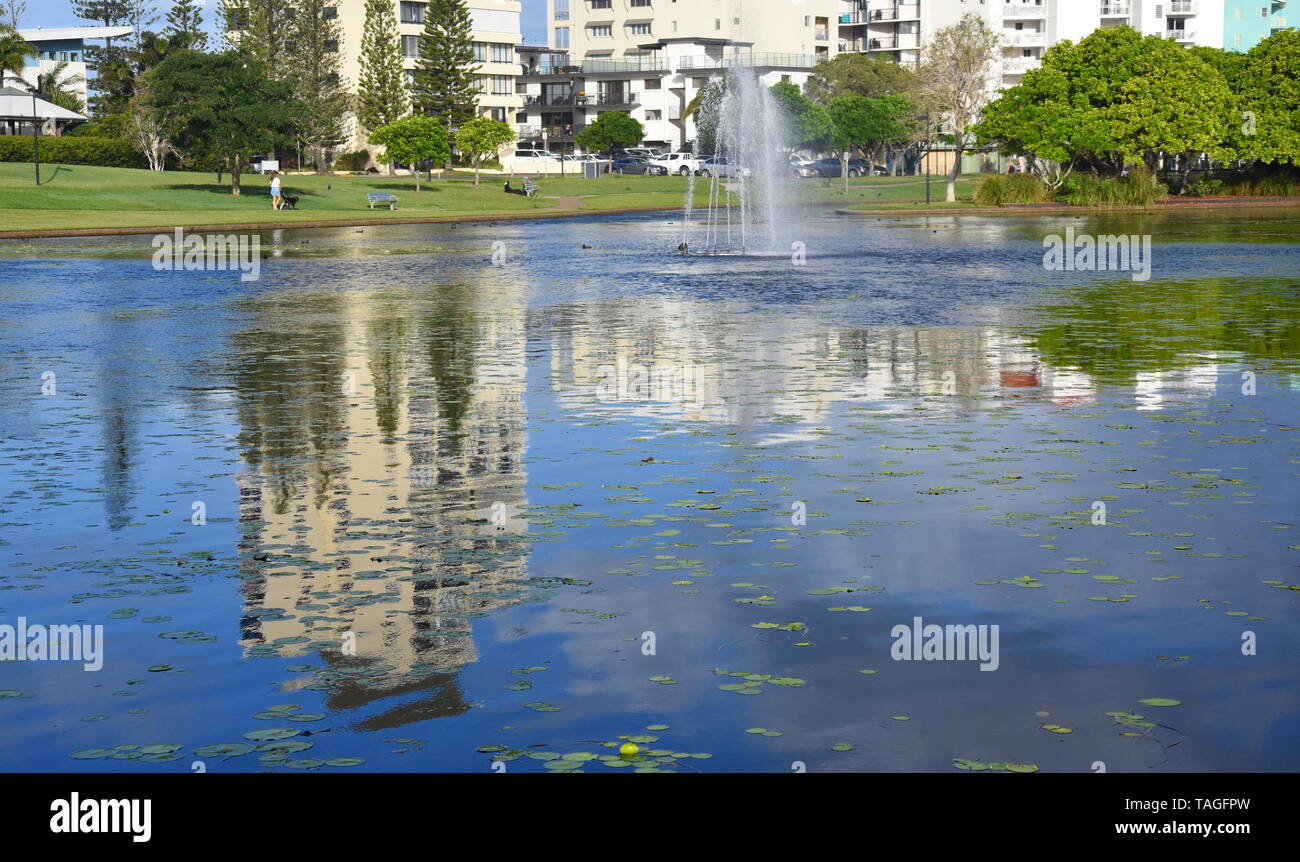 Nelson Park is a lovely little getaway in the middle of the Sunshine ...