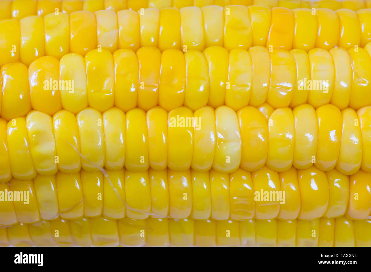 Boiled and cooked yellow sweet corn cob close up shot macro. Delicious ...