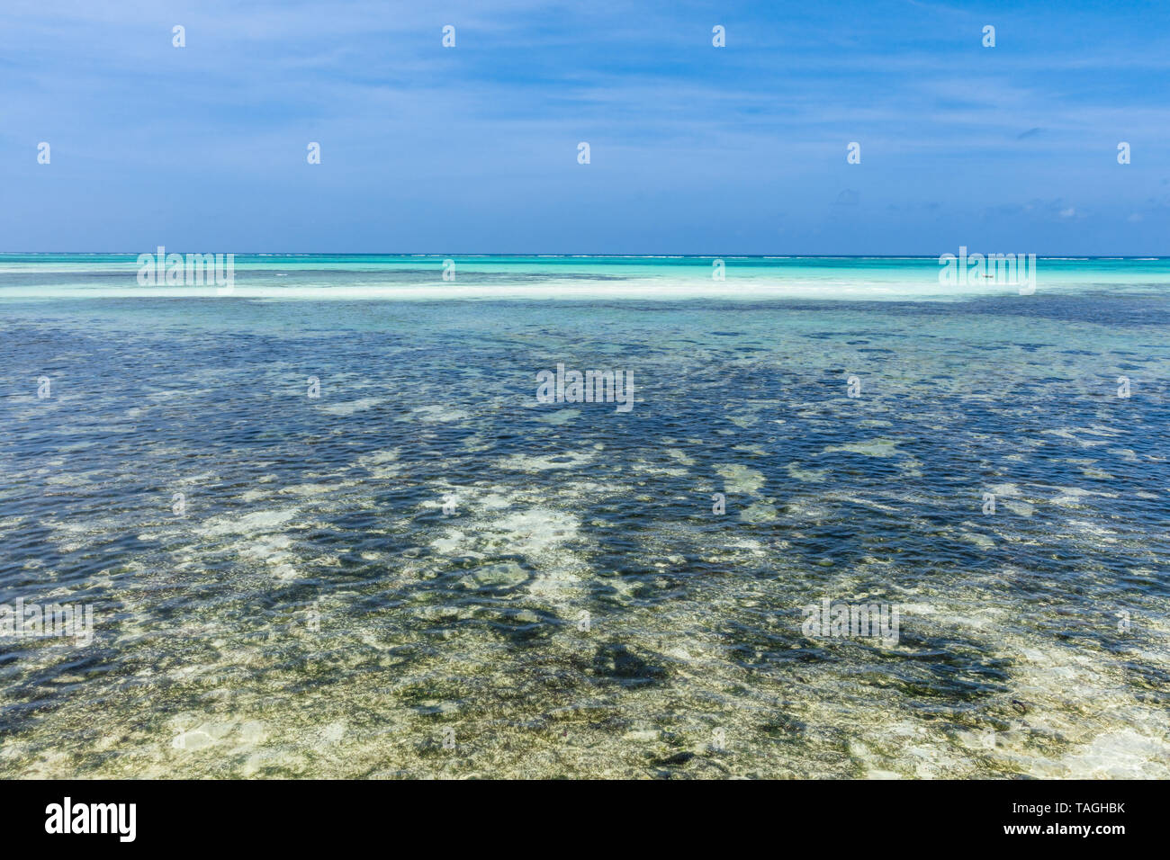 Pingwe beach in Unguja aka Zanzibar Island Tanzania East Africa Stock ...