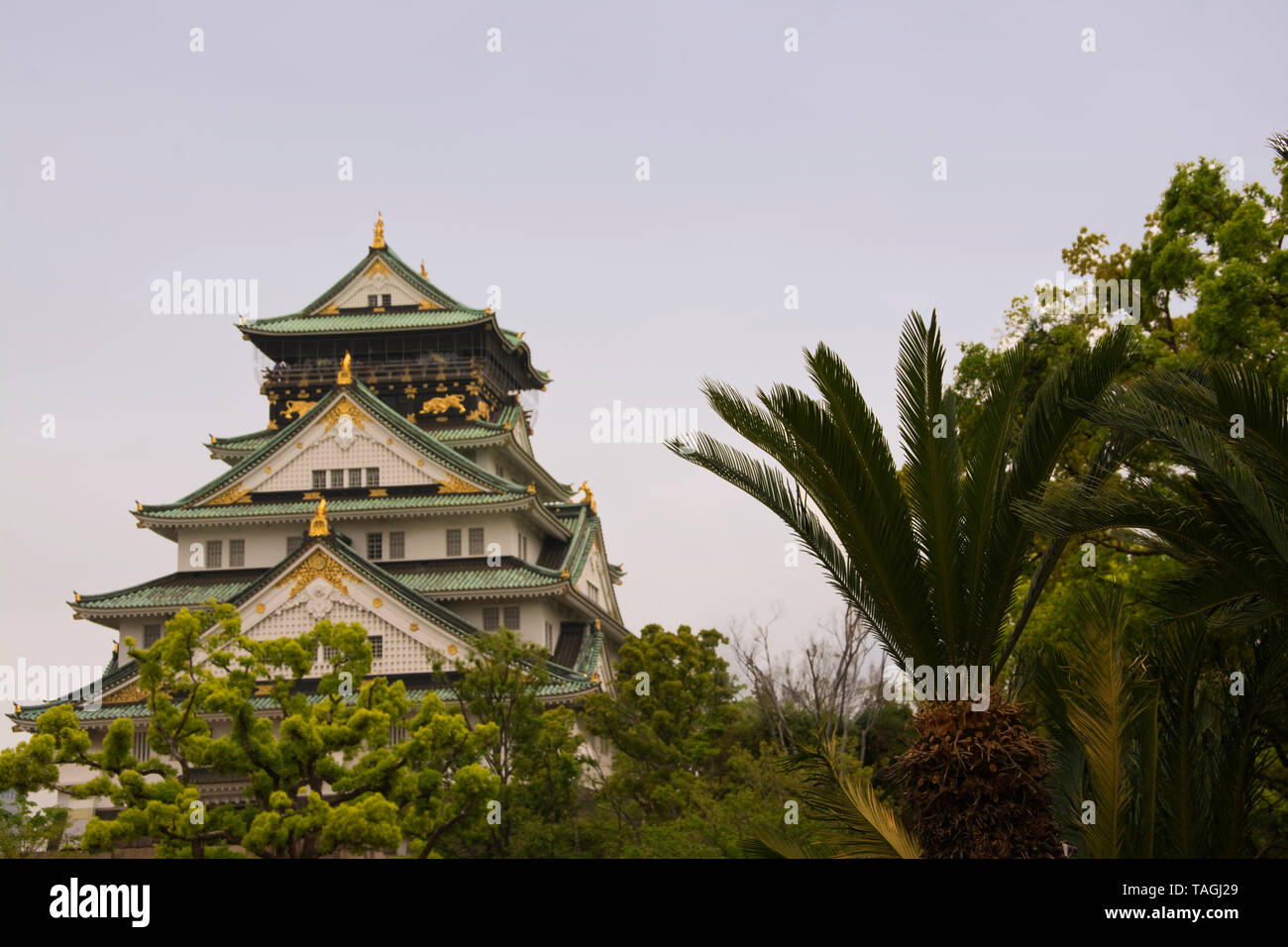 ASIA, Japan, Honshu Island, Osaka Prefecture (大阪府, Ōsaka-fu), Osaka ...