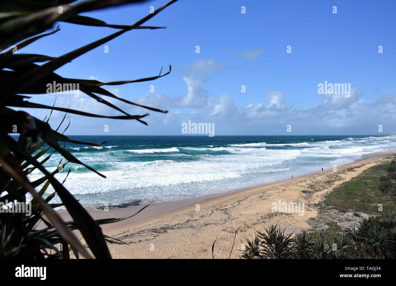 Beautiful weather at Buddina Beach along Pacific Boulevard (Sunshine ...