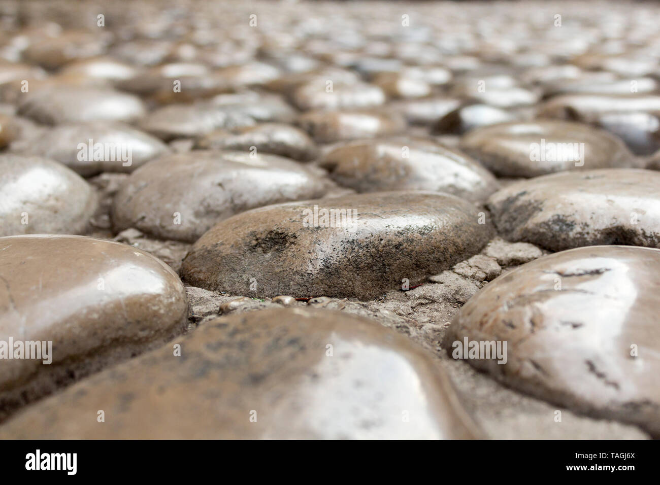 Shiny cobbled surface hi-res stock photography and images - Alamy