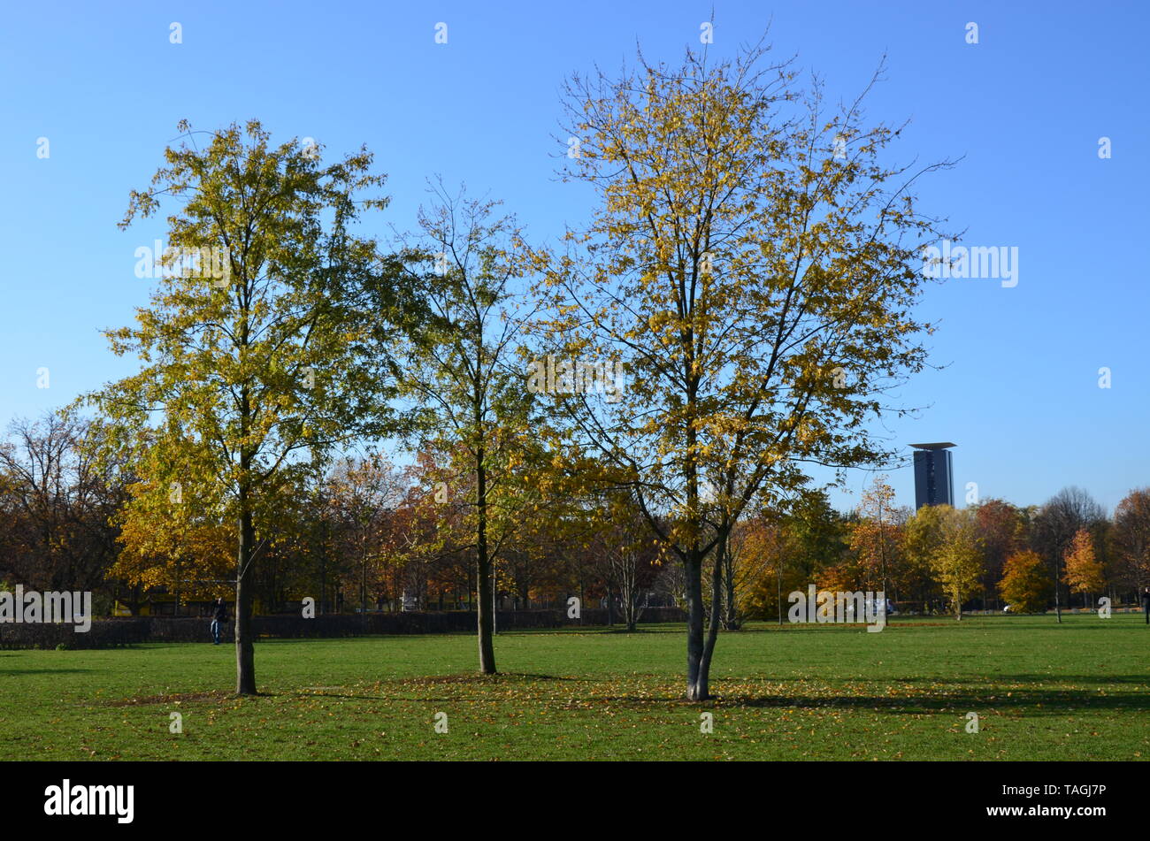 Tiergarten in Berlin, Germany Stock Photo - Alamy