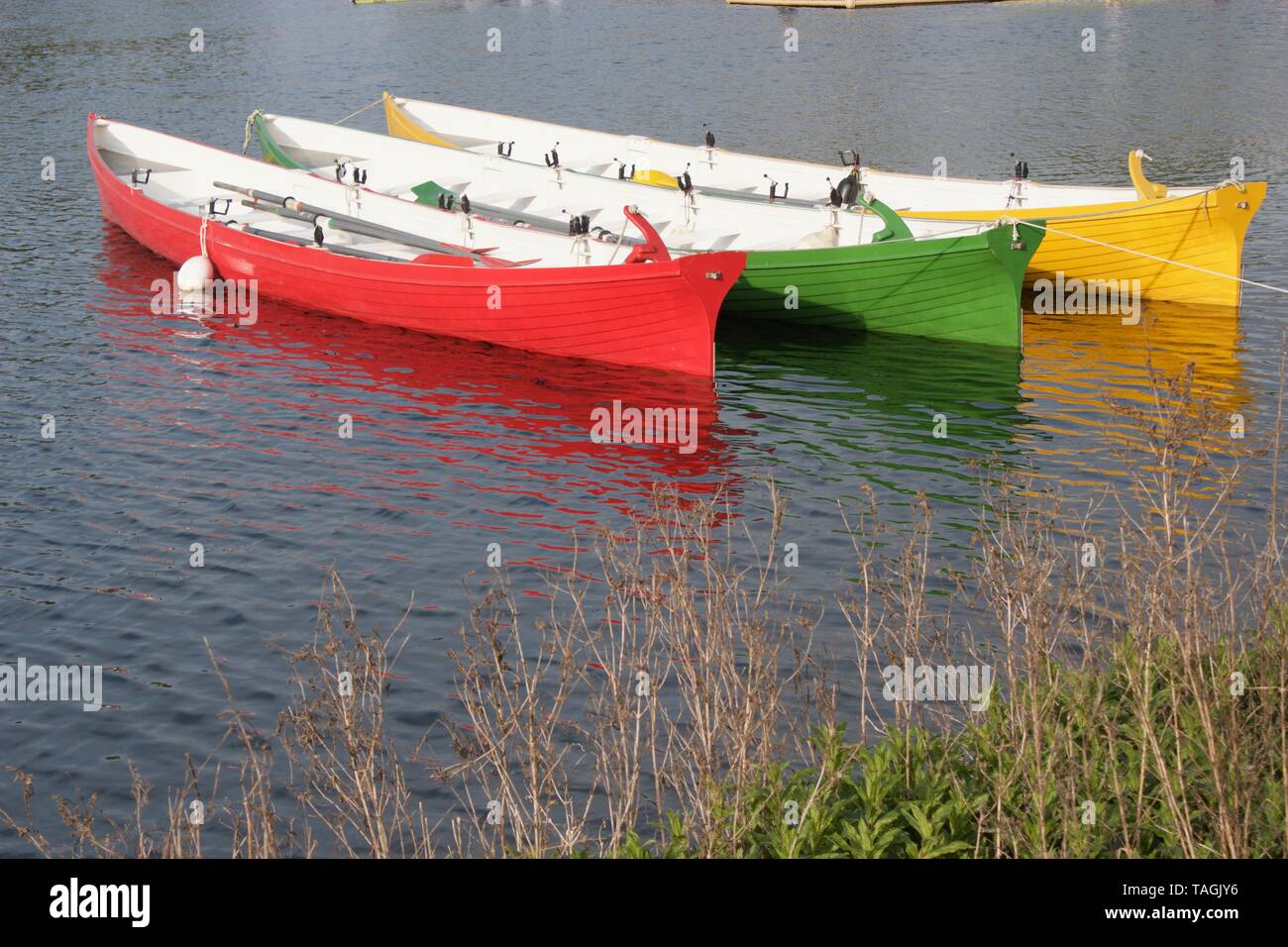 Freshly painted old fashioned rowing boats on a lake Stock Photo - Alamy