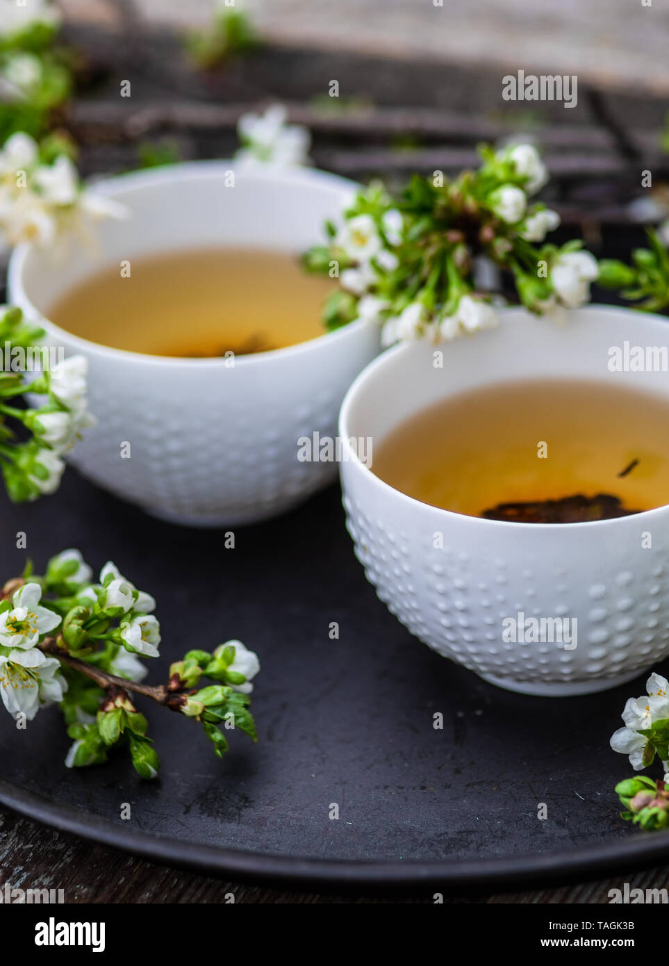 Spring tea time concept with cup of tea and cherry blomming tree ...