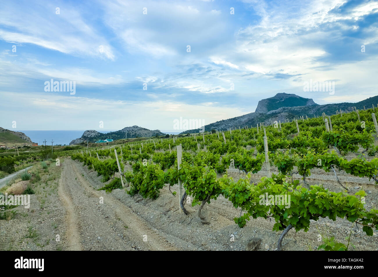 Sudak, Crimean Republic, Russia - May 30, 2017: View of the district of ...